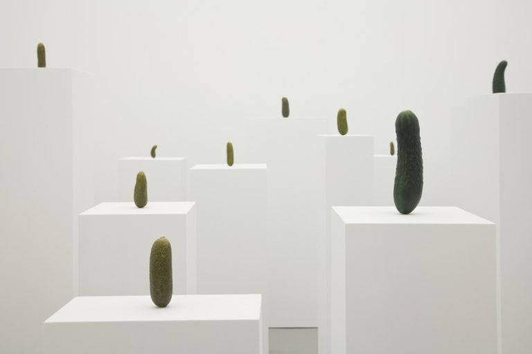 Every Artwork Has the Language of Its Time: Erwin Wurm in Conversation ...